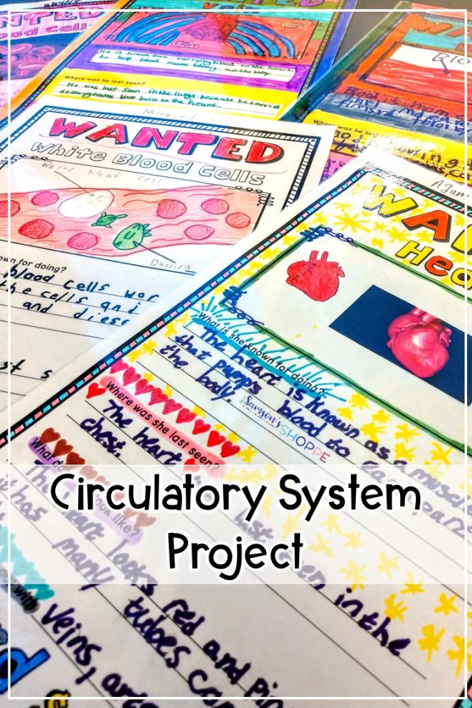 Human Body Systems Unit for Grades 5–8 | NGSS-Aligned