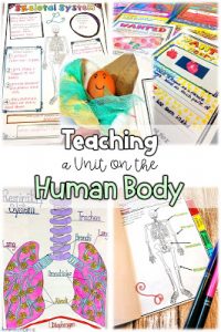 Teaching Science without Curriculum or Materials