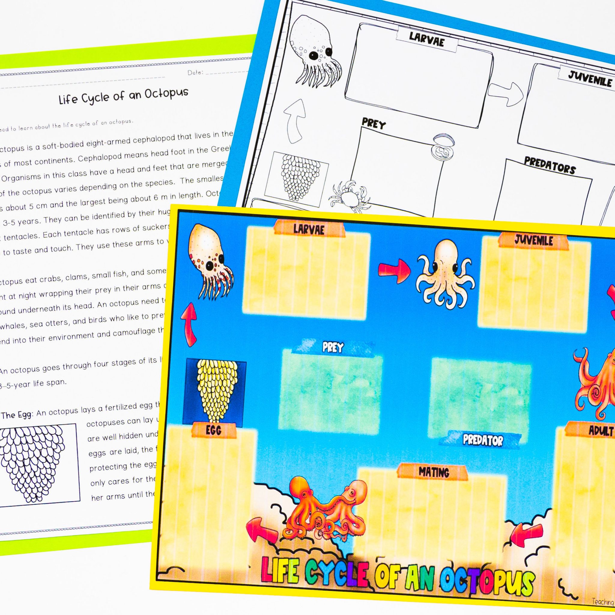 Free Summer Science Activities - Teaching Muse