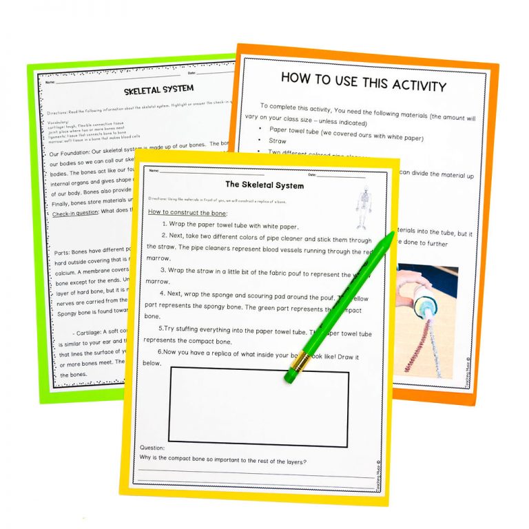 Fall Science Activities - Teaching Muse