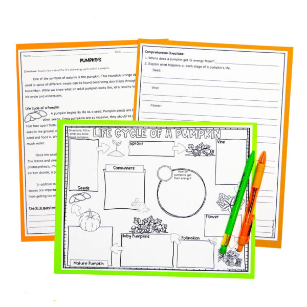 Fall Science Activities - Teaching Muse