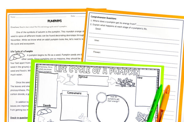 Fall Science Activities - Teaching Muse