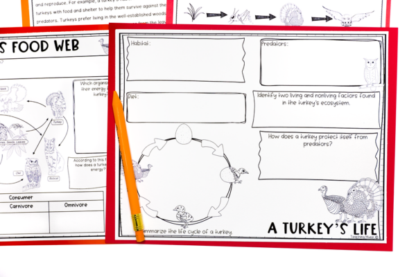 November Science Activities - Teaching Muse