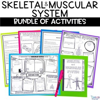 Skeletal and Muscular System Unit for Human Body Systems