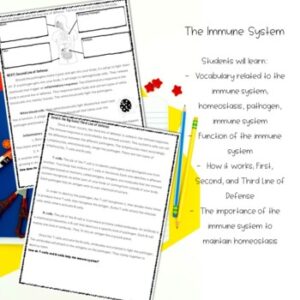 Immune System Activities for Human Body Systems
