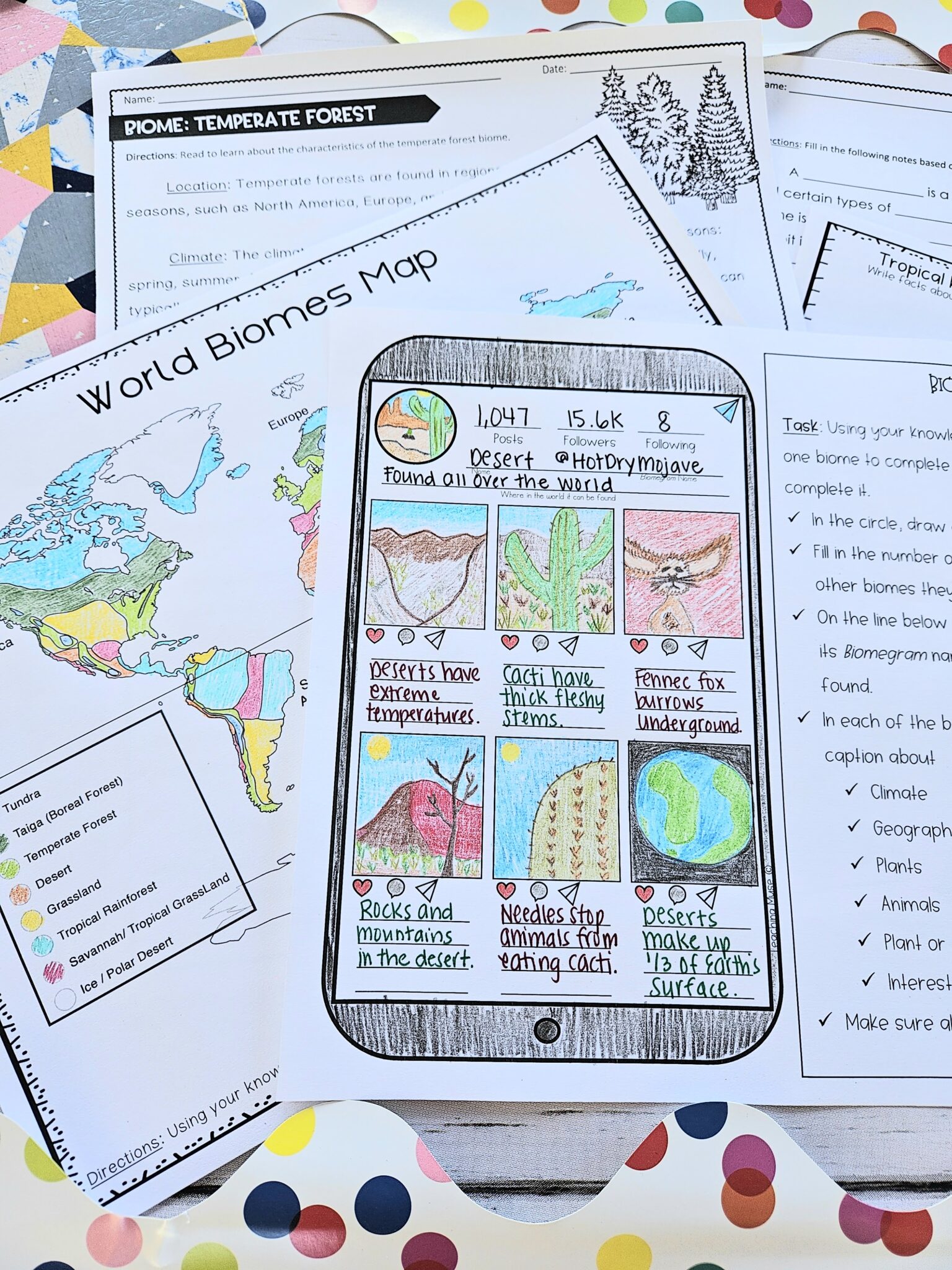 Biome Activities for Grades 5–8 Hands‑On and NGSS aligned