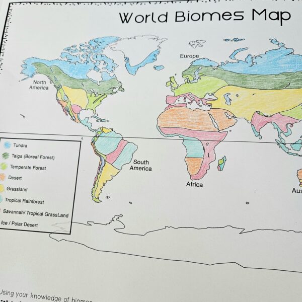 Biome Activities for Grades 5–8 Hands‑On and NGSS aligned