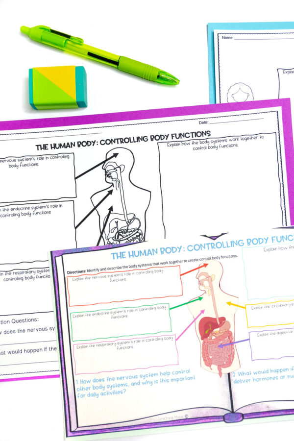 Human Body Systems Unit for Grades 5–8 | NGSS-Aligned