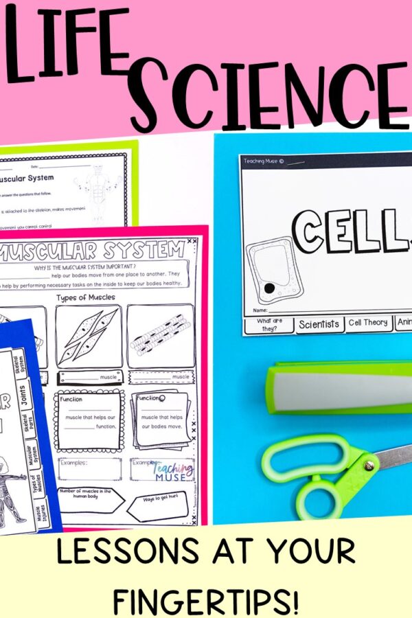 Middle School Life Science Curriculum Map (Free Download)